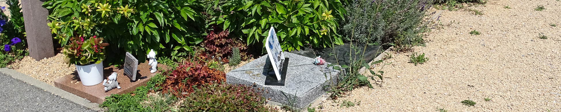 Cimetières de la commune de DARDILLY CÉDEX